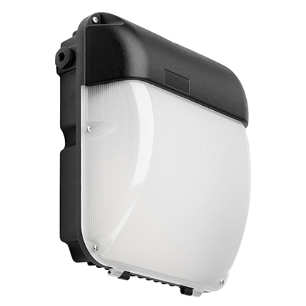 Wall Mounted Emergency Light